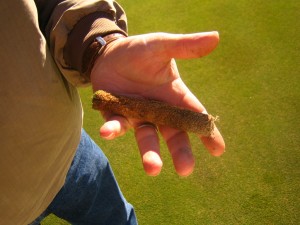 PlanetAir Turf Products: Aeration equipment to maintain turf